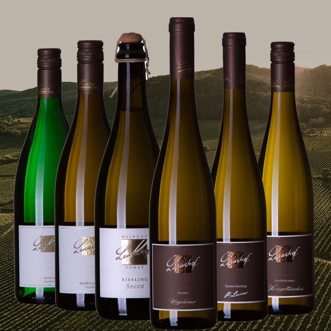 Weingut Lucashof Kennenlernpaket Weinset | Weingut Lucashof – Lucashof Weinshop